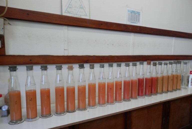 Laboratoire de Bondy : FEST : Fonctionnement Ecologique des Sols ...